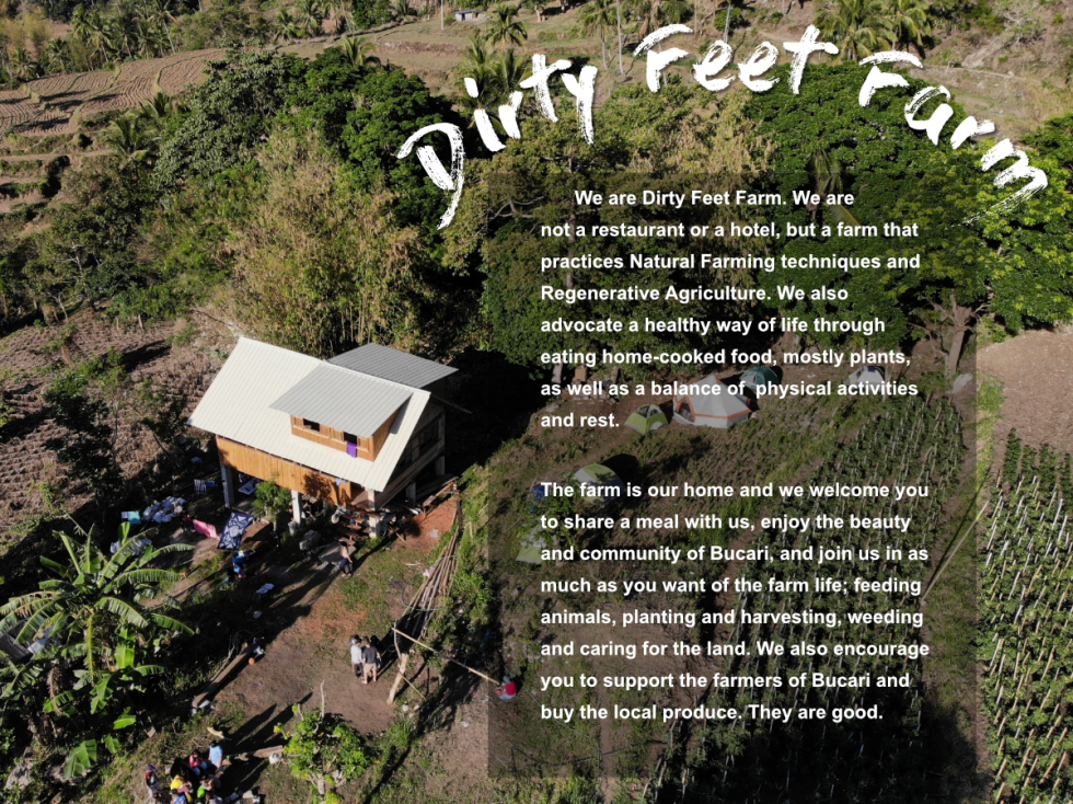 Dirty Feet Farm
